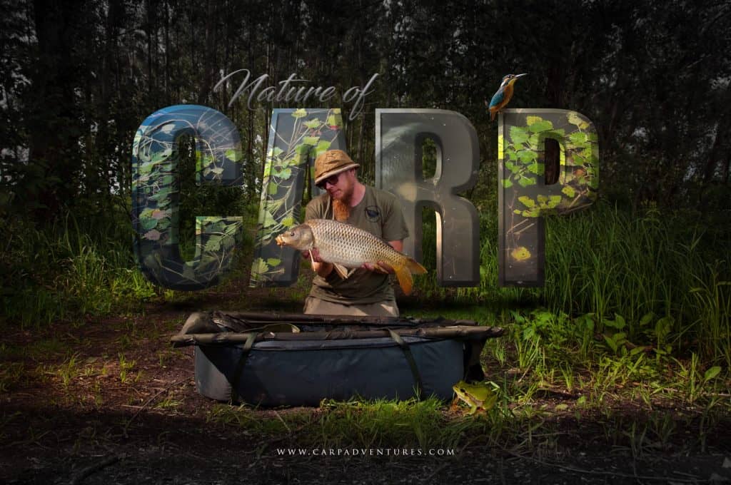 About - CARP GRAPHIC